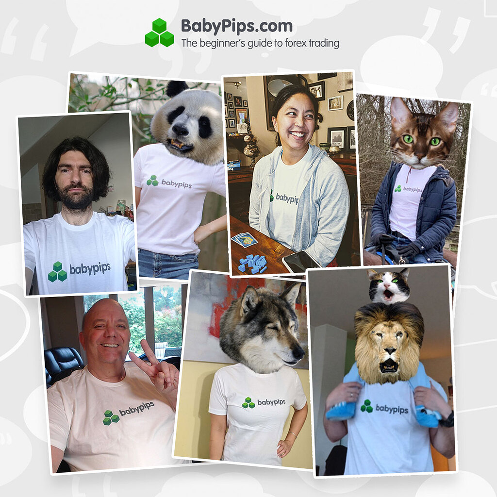 What kind of BabyPips merch would you like to see next? - The Lobby ...