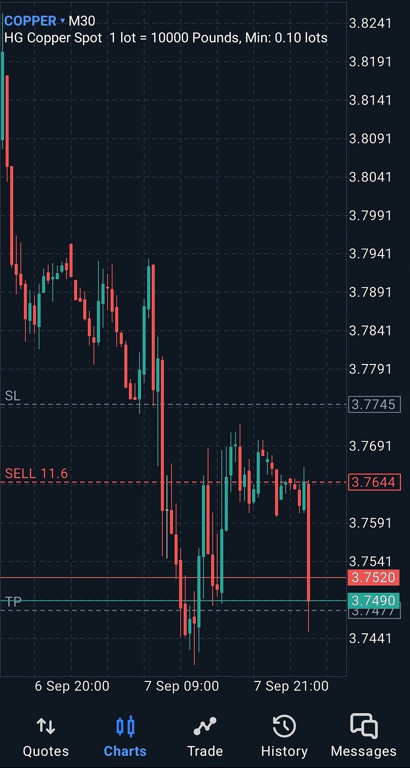 TP hit, but trade not closed (?!?!) - Trading Tech and Tools - BabyPips.com Forum